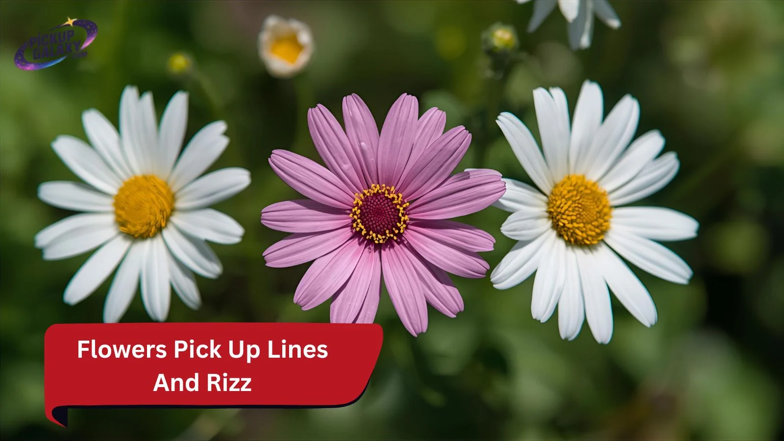 455+ Flowers Pick Up Lines And Rizz 2025-2026 🌸🌹🌼